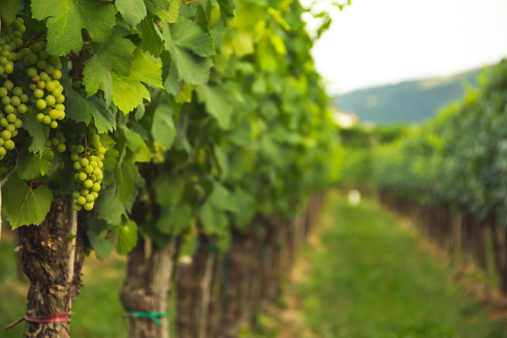 Active Protection Systems (APS): Safeguarding Vehicles and Assets – VPRC